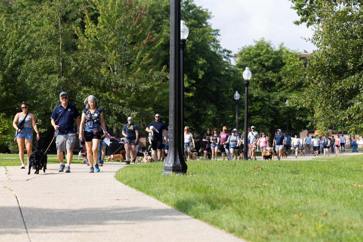 IN A FLASH: Four-Legged Flashes on Campus | Kent State Today